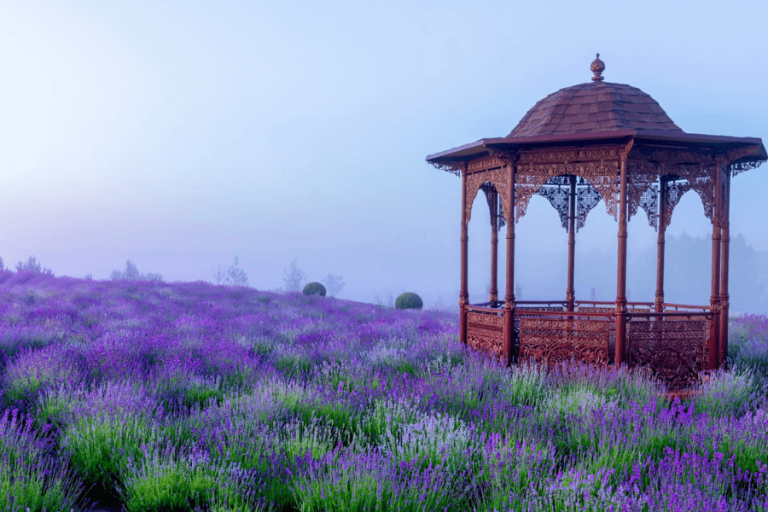 Добропарк 2025- Цены, Акции, Сезоны,как добехать в Dobropark